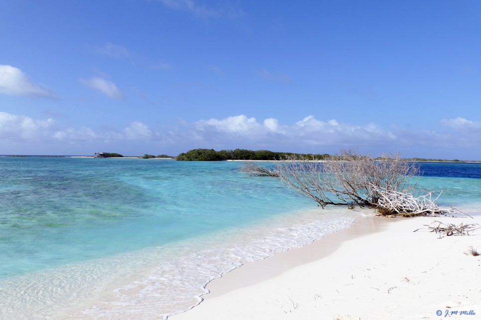 FRANCISQUI - Spots d'Evasion